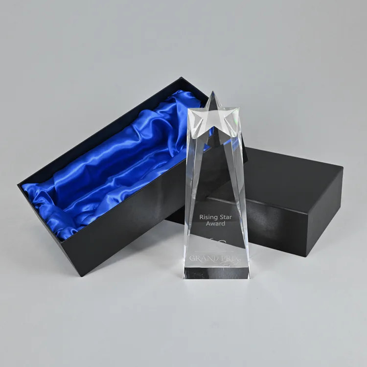Custom Rising Star Award Crystal Trophy
