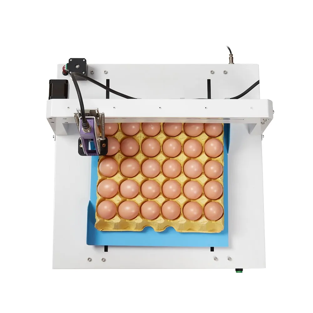 Egg Inkjet Printer - BTMJET