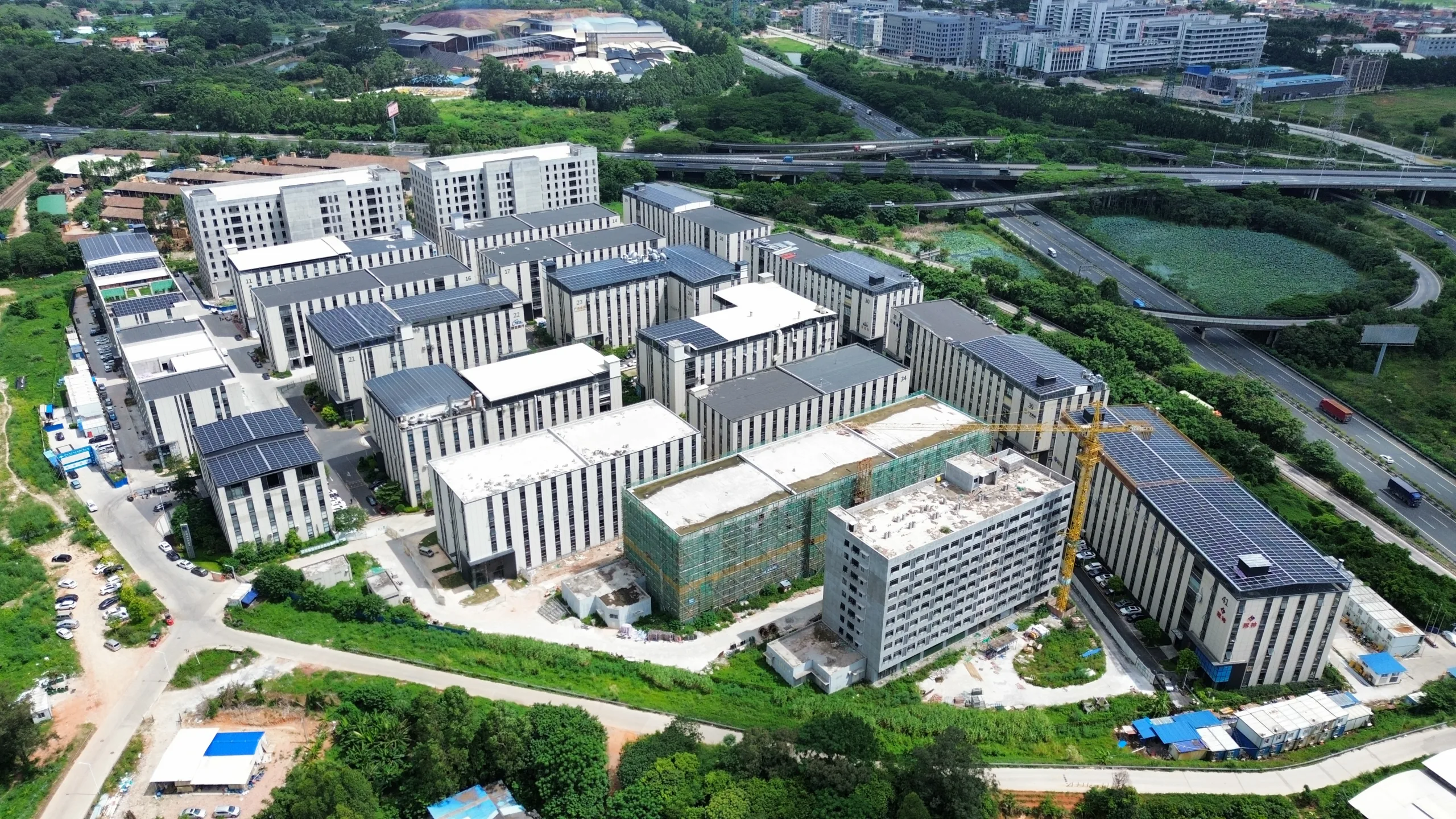 Solar Power and Sustainability: A Step Towards a Greener Future at ...