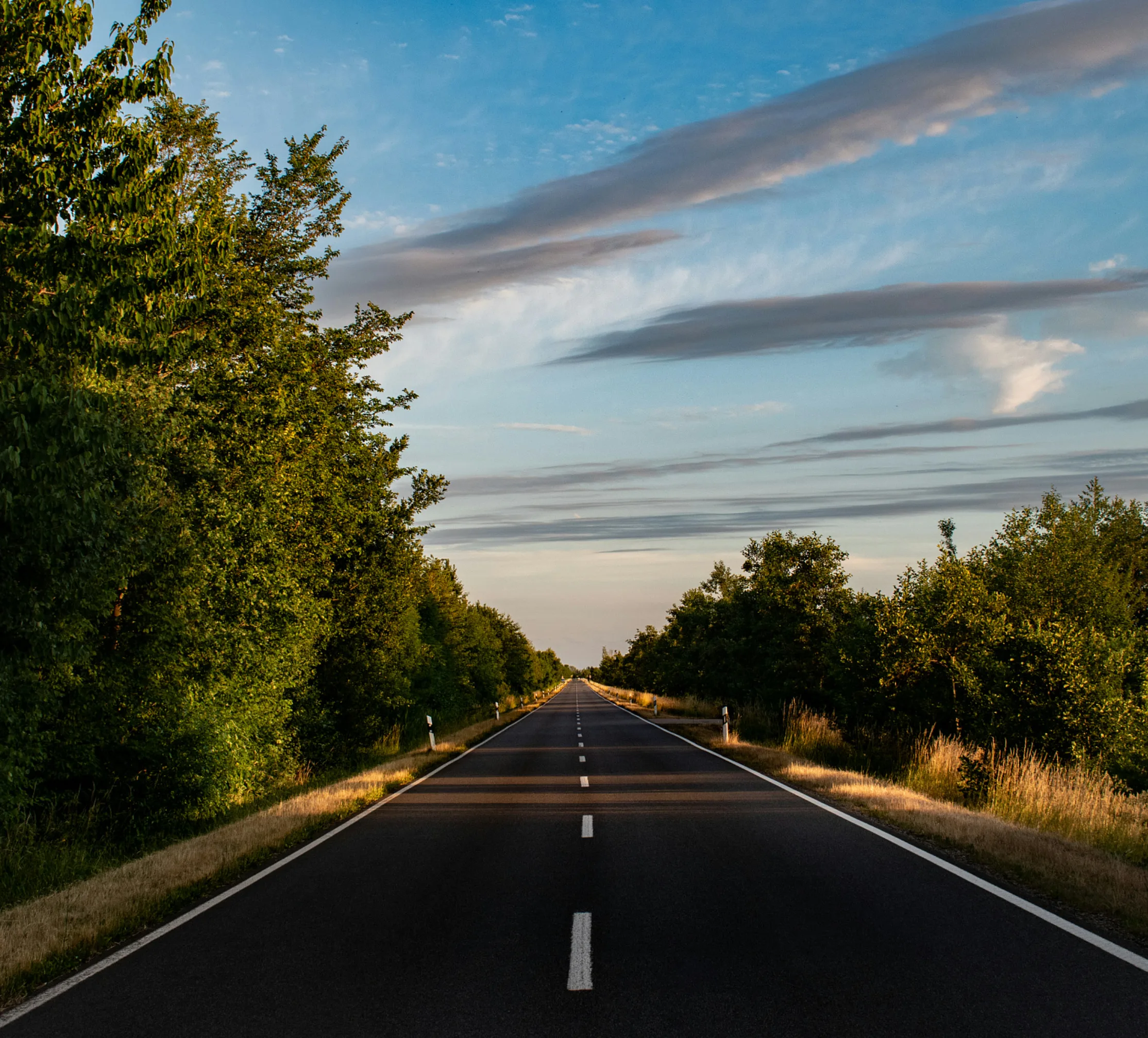 Cellulose Fiber | CELOFIBER® CF1000W - Celotech