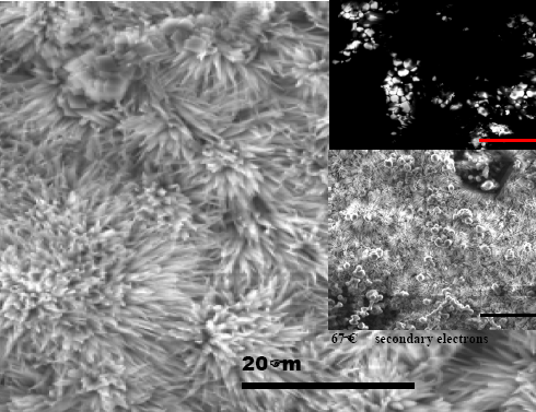 Why Ternary Binder System is Popular in Cement-Based Self-Leveling ...