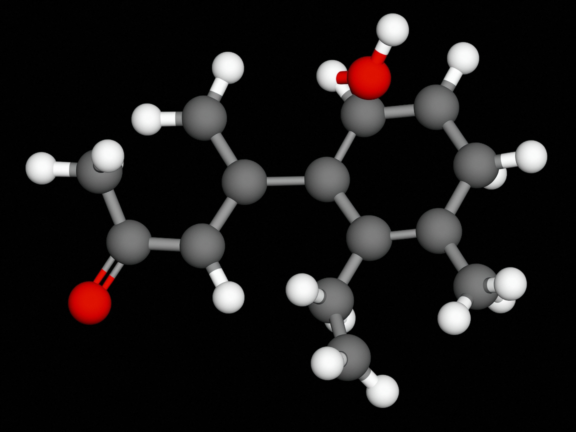 MHEC vs HPMC Performance Analysis- Celotech